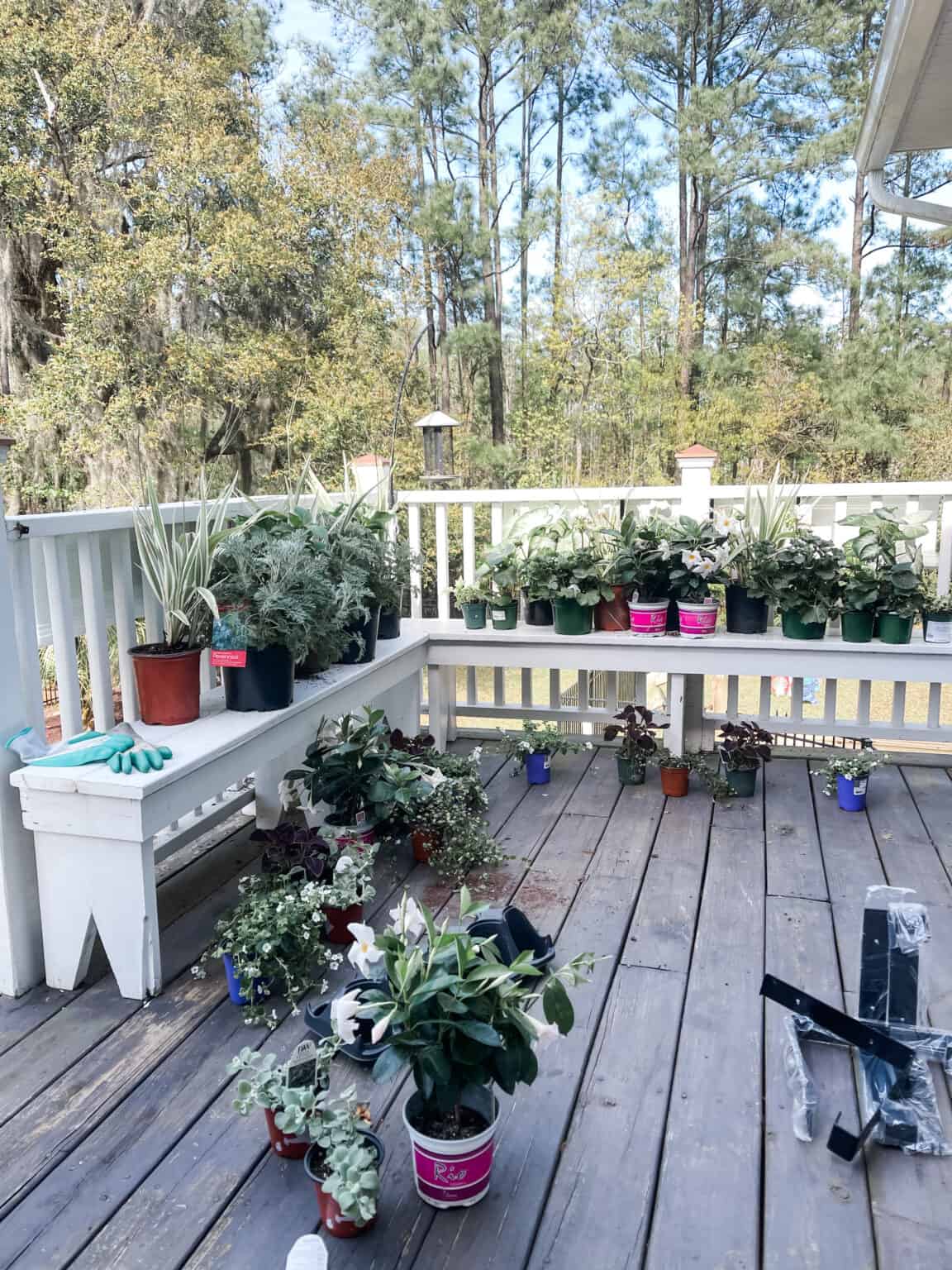 How to Plant Window Boxes - The Coastal Oak