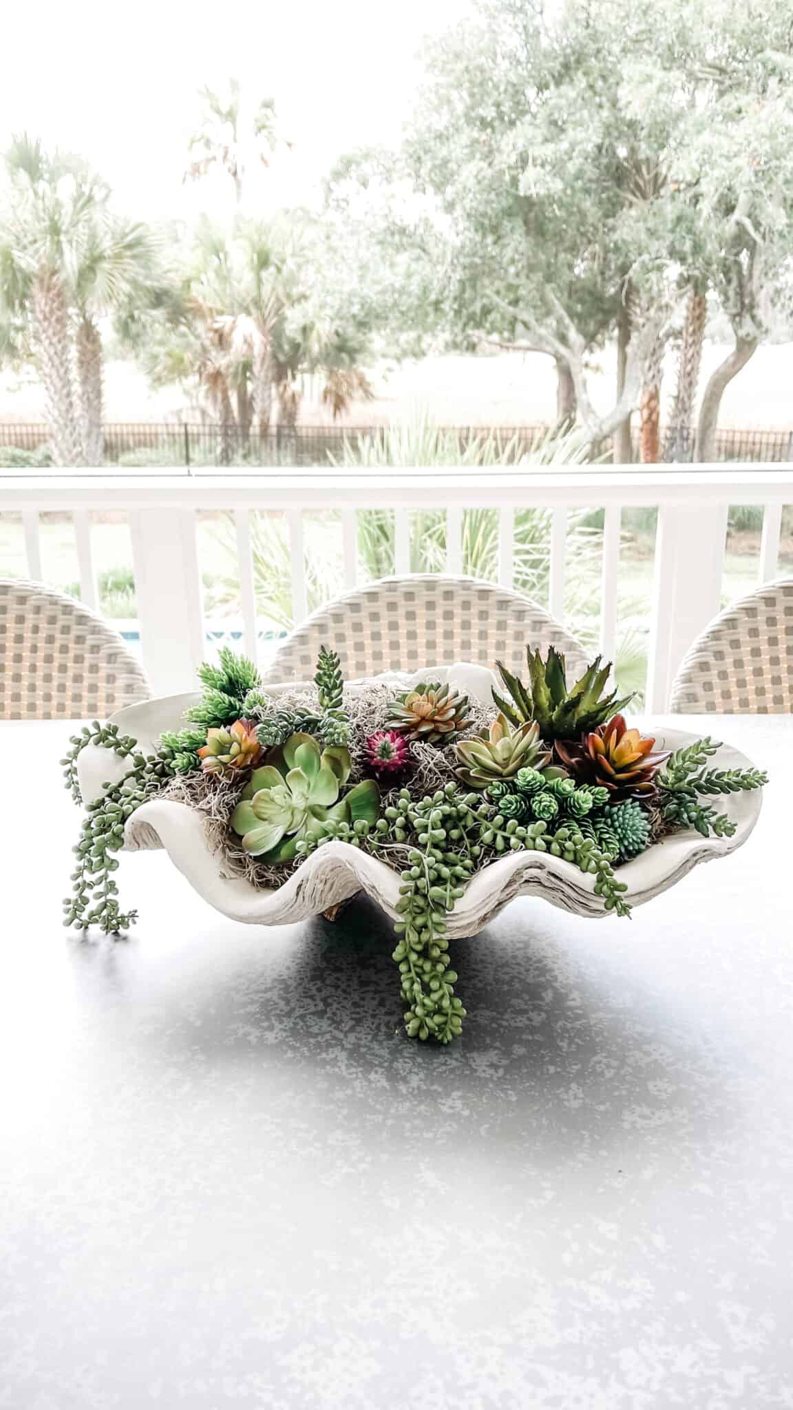DIY Clam Shell Succulent Centerpiece - The Coastal Oak