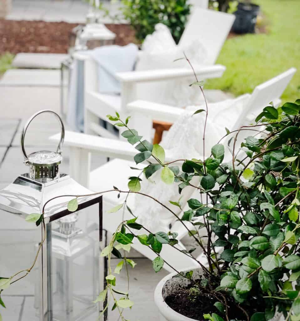 Charleston White (DCR 100) Paint Color | The Coastal Oak