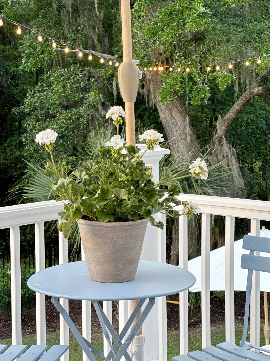 The Best Outdoor Pots on a Budget | The Coastal Oak