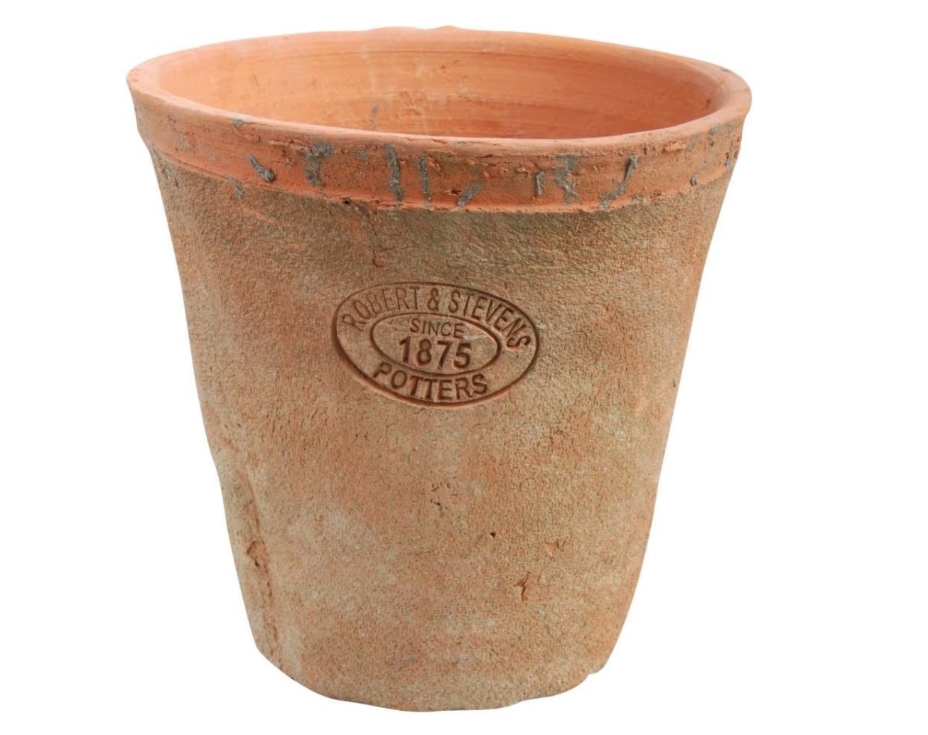 The Best Ferns for Southern Planters & Design | The Coastal Oak